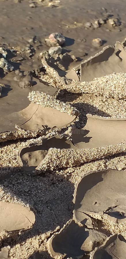 Dry mud cracks stock image. Image of soil, nature, cracks - 175751695