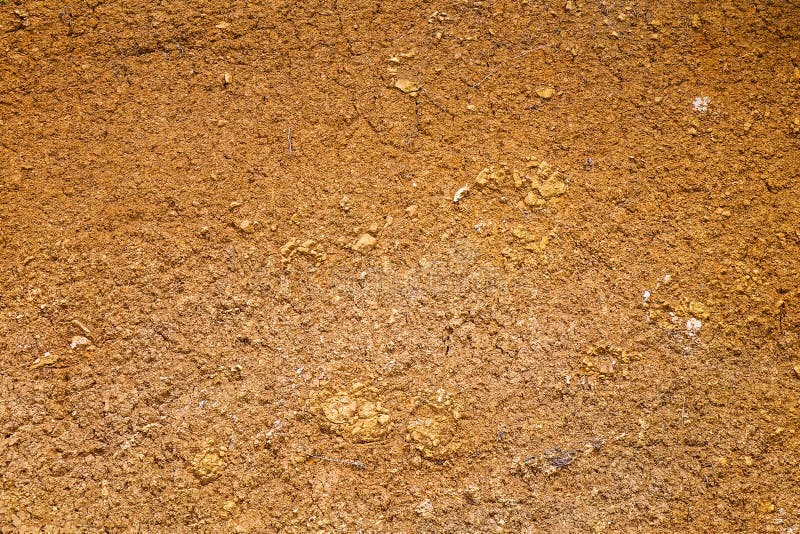Dry mud drought background stock image. Image of environment - 99822103 Dry mud drought background stock image. Image of environment - 99822103
