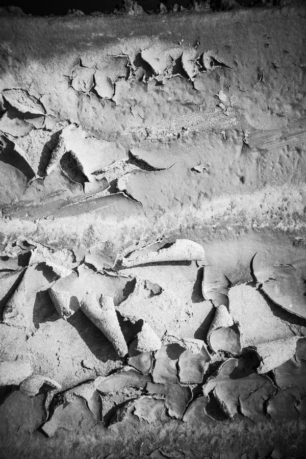 Dry Mud Pattern in Mangrove Forest Stock Image - Image of outdoors ...