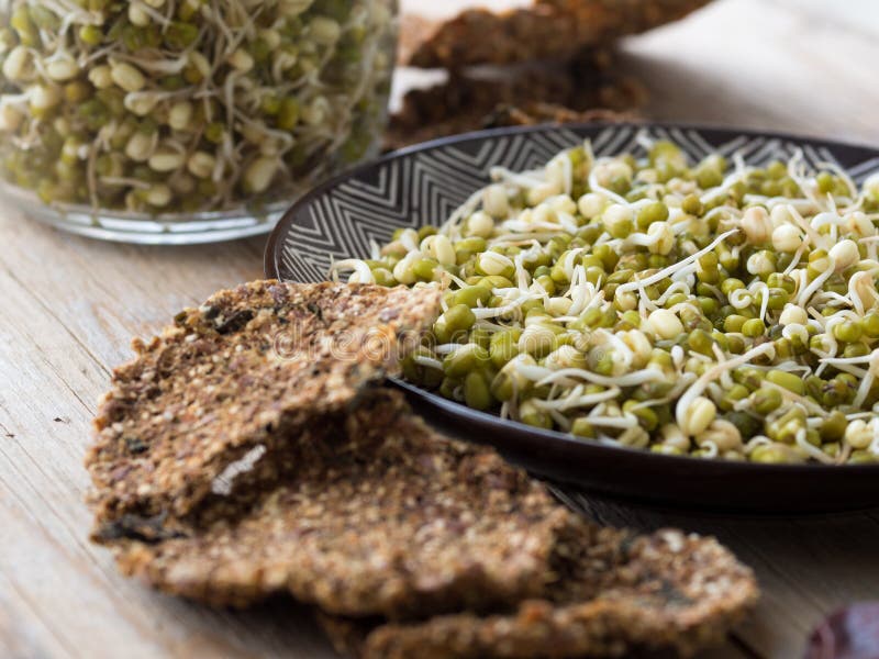 Dry mung bean sprouts stock photo. Image of healthy, mung - 73763232