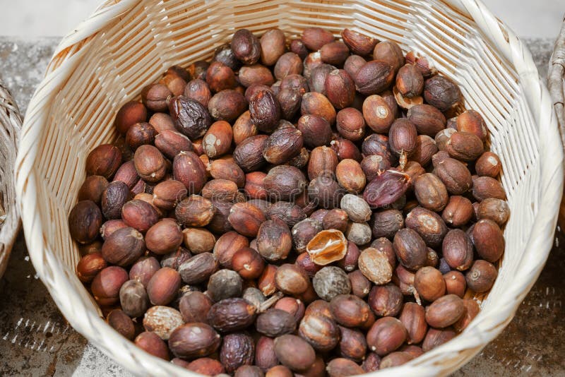 Dry or Natural Process of the Coffee Bean Inside the Cherry. Stock ...