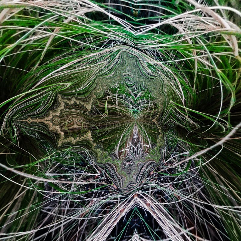 Dry Nature Green Grass Abstract Background Stock Illustration ...