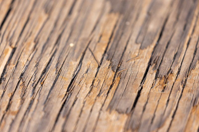 423 Splintering Stock Photos - Free & Royalty-Free Stock Photos from ...