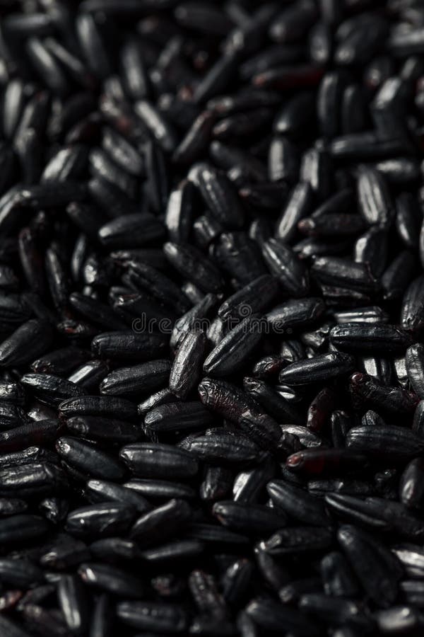 Dry Organic Asian Black Rice Stock Photo - Image of wild, dark: 209904072