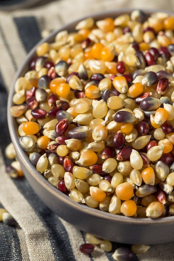 Dry Organic Assorted Rainbow Popcorn Stock Image - Image of vegetarian ...