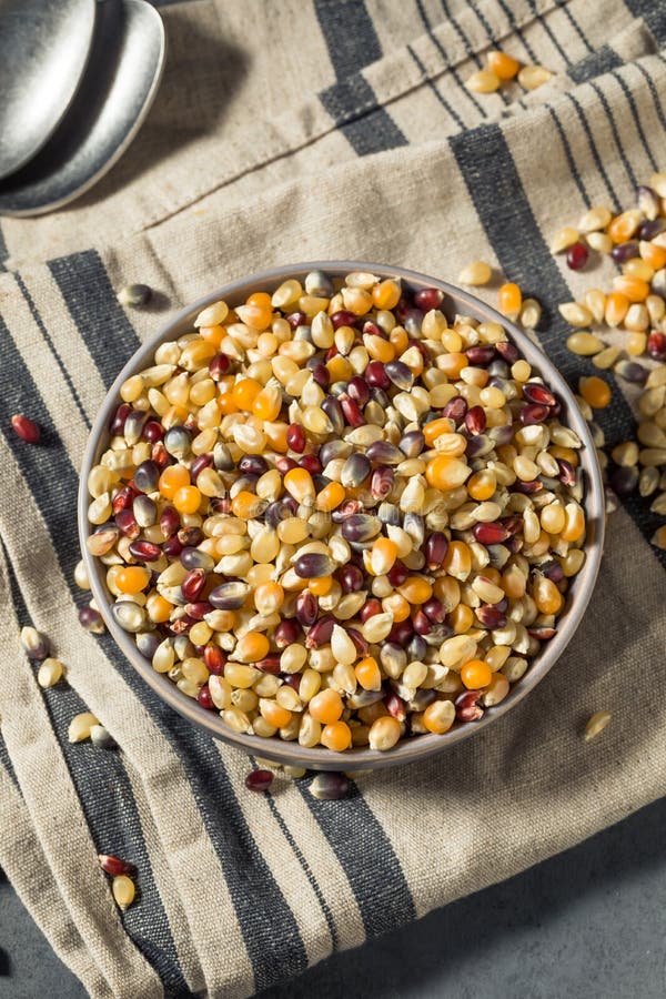 Dry Organic Assorted Rainbow Popcorn Stock Photo - Image of autumn ...