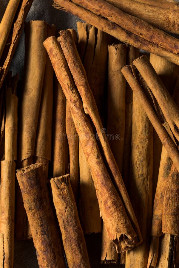 Dry Organic Ceylon Cinnamon Sticks Stock Photo - Image of organic ...