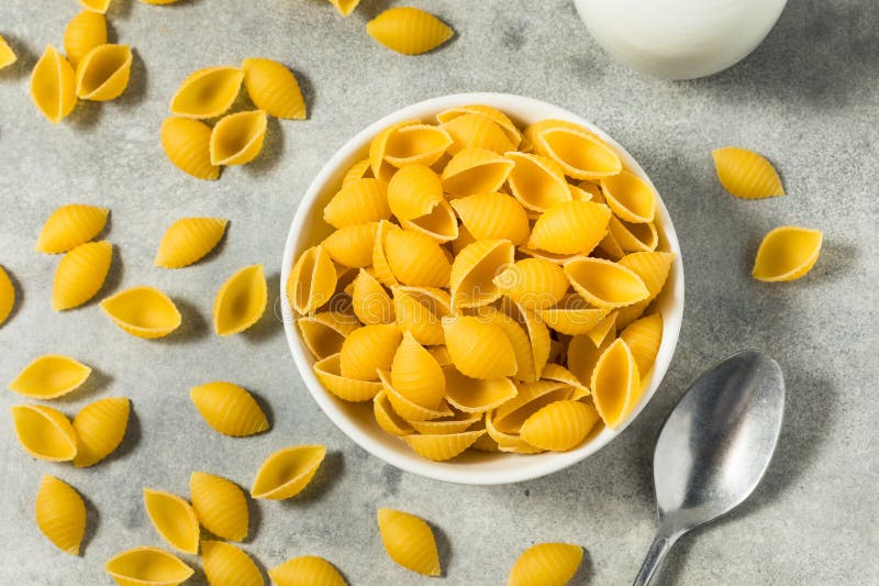 Dry Organic Conchiglie Pasta Shells Stock Image - Image of carbohydrate ...