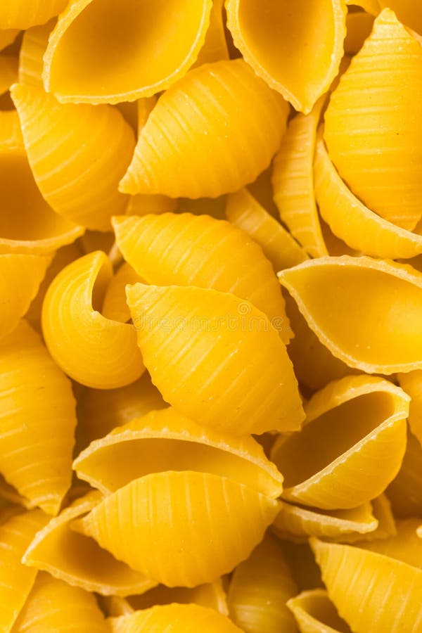 Dry Organic Conchiglie Pasta Shells Stock Photo - Image of diet, food ...