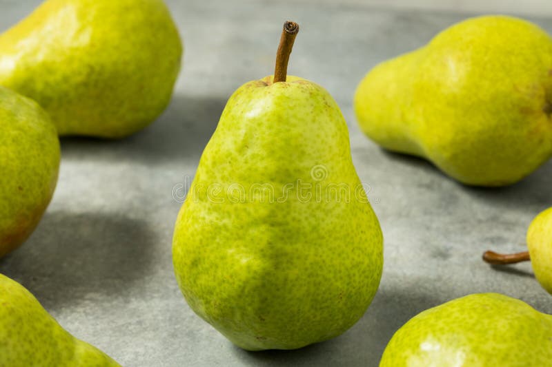 Conchiglie Pasta stock image. Image of cuisine, staple - 60842829