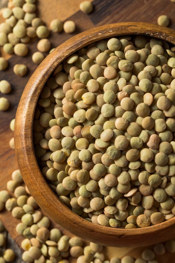 Dry Organic Green Lentils stock image. Image of bean - 150525139