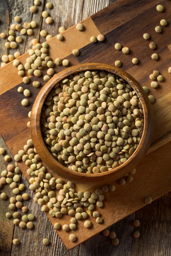 Dry Organic Green Lentils stock image. Image of meal - 150525515