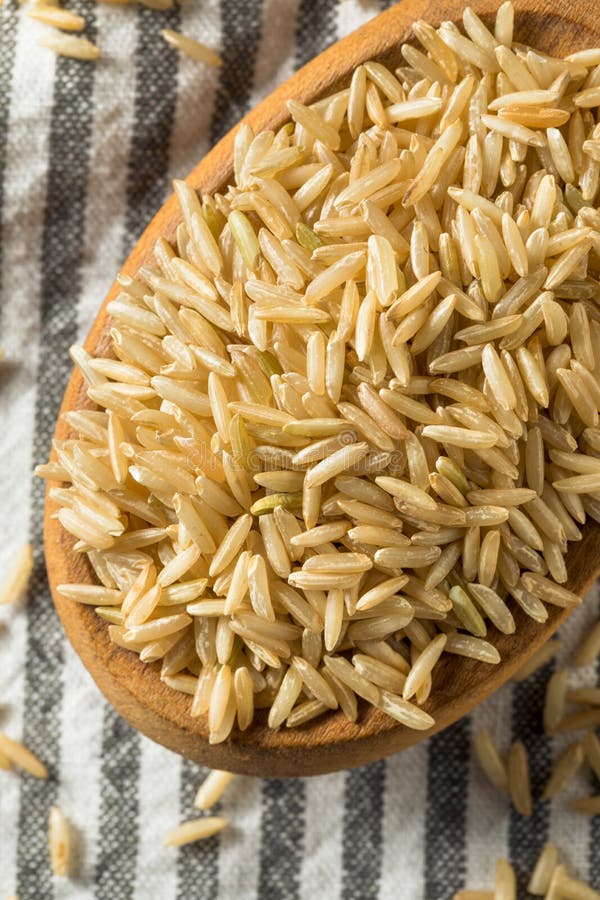 Dry Organic Indian Basmati Rice Stock Photo - Image of healthy, grain ...