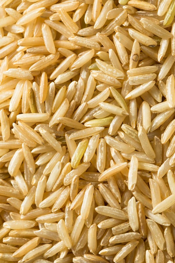 Dry Organic Indian Basmati Rice Stock Image - Image of vegetarian ...