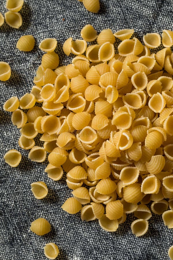 Dry Organic Macaroni Shells Stock Image - Image of nutrition ...