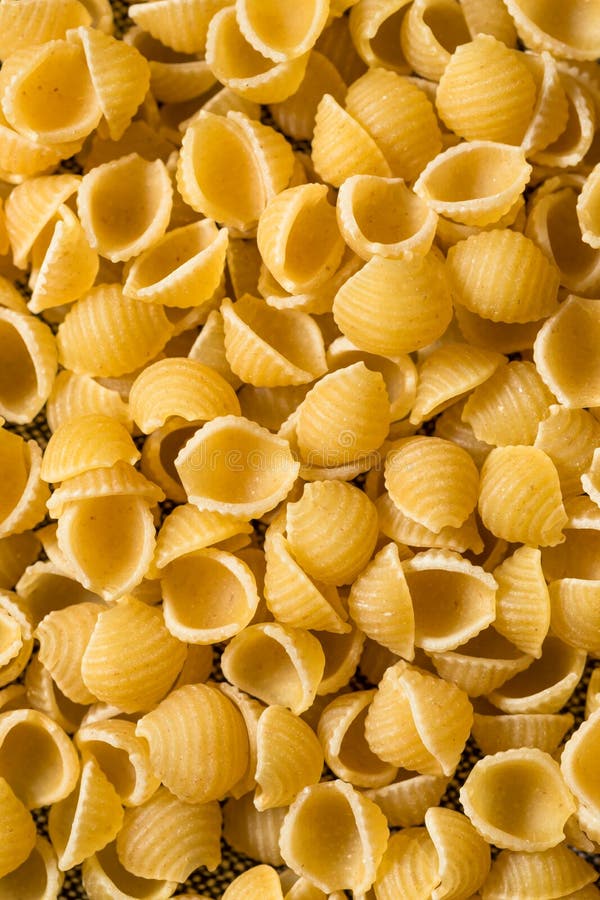 Dry Organic Macaroni Shells Stock Image - Image of nutrition ...