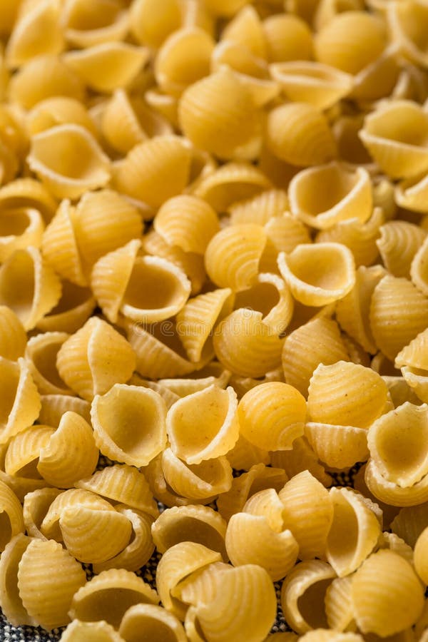 Dry Organic Macaroni Shells Stock Image - Image of italy, health: 157760193