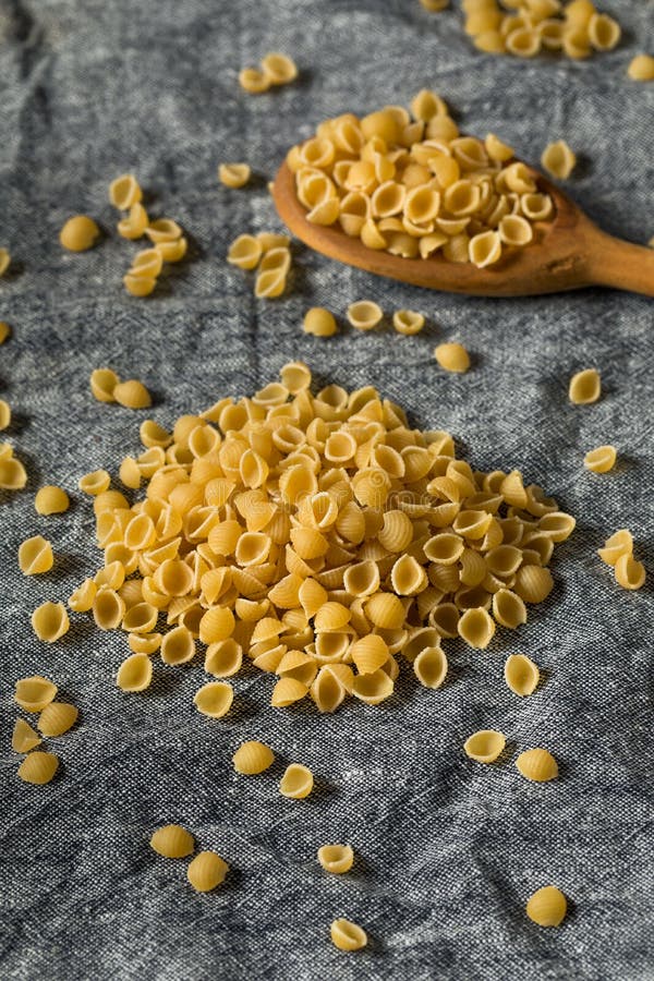 Dry Organic Macaroni Shells Stock Image - Image of meal, macaroni ...