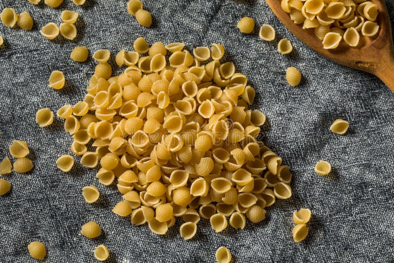Dry Organic Macaroni Shells Stock Photo - Image of uncooked, ingredient ...