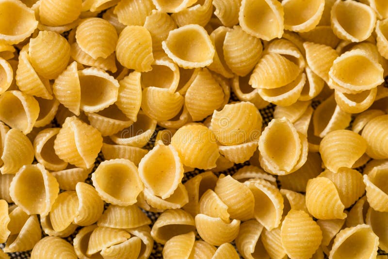 Dry Organic Macaroni Shells Stock Image - Image of nutrition ...