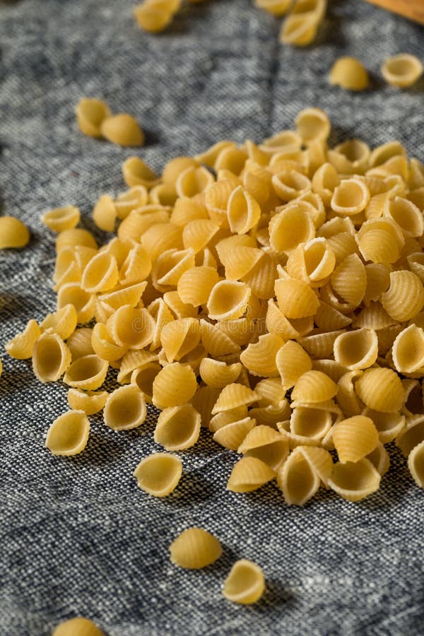 Macaroni Shells With Arrabbiata Tomato Sauce Stock Image - Image of ...