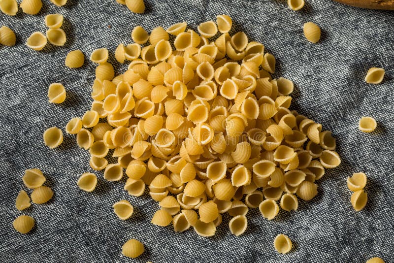 Dry Organic Macaroni Shells Stock Image - Image of nutrition, macaroni ...