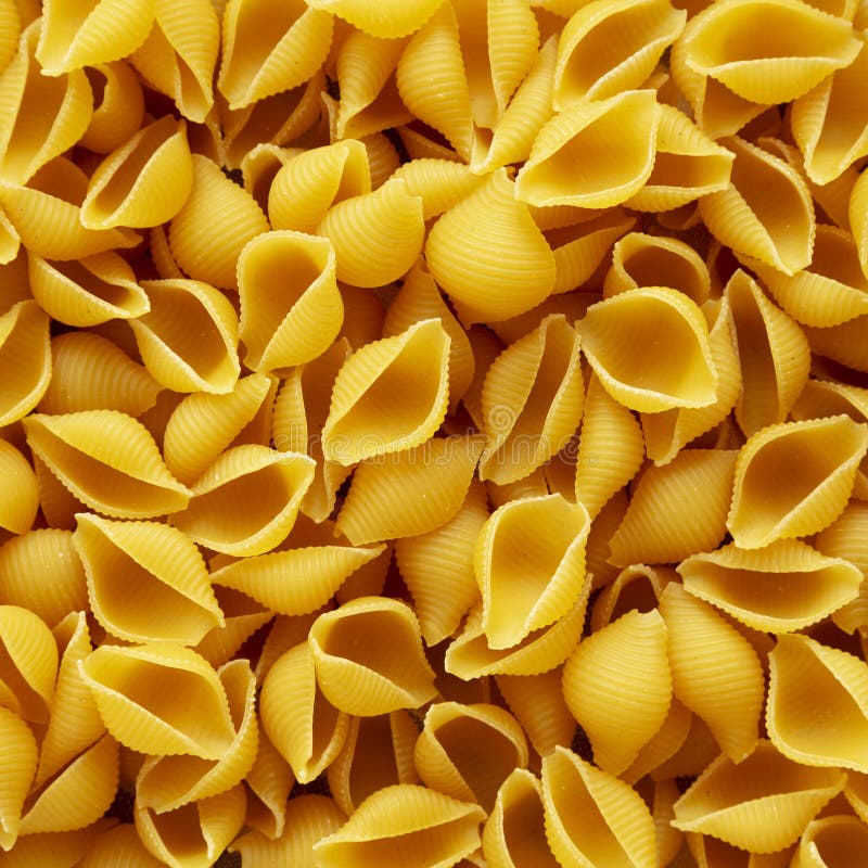 Dry Organic Medium Pasta Shells in a Bowl, Top View. Flat Lay, Overhead ...