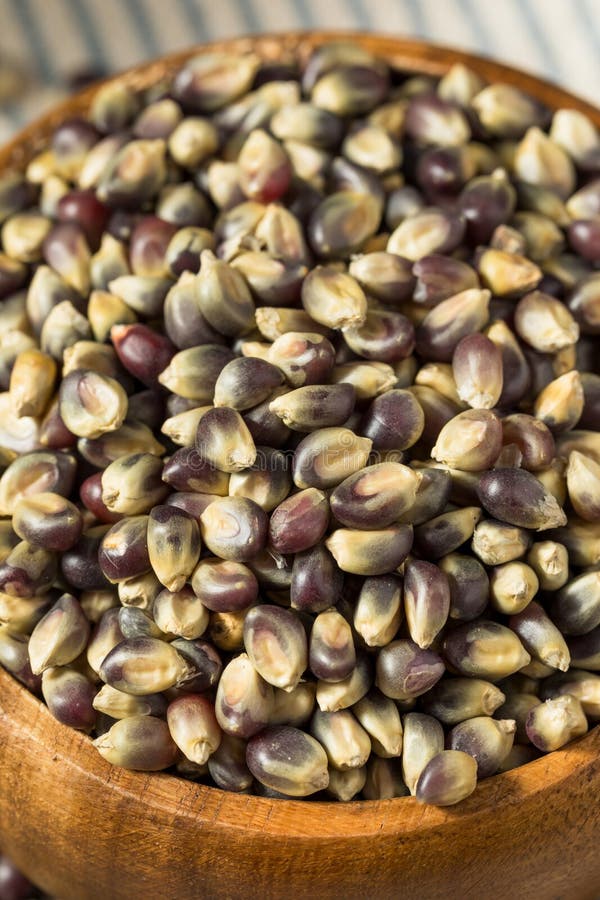 Dry Organic Purple Popcorn Kernels Stock Photo - Image of purple, sweet ...