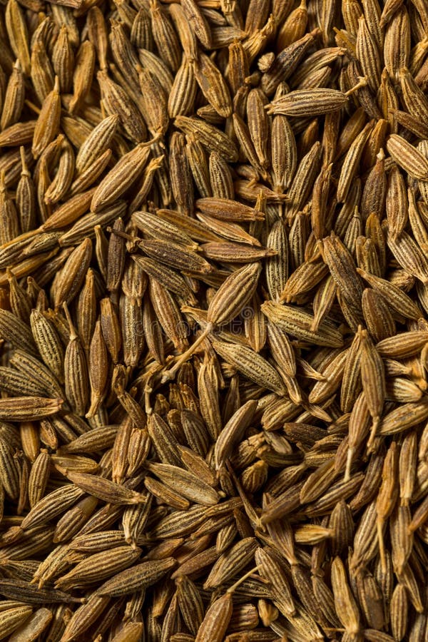 Dry Organic Raw Cumin Seeds Stock Image - Image of seed, grain: 274794209