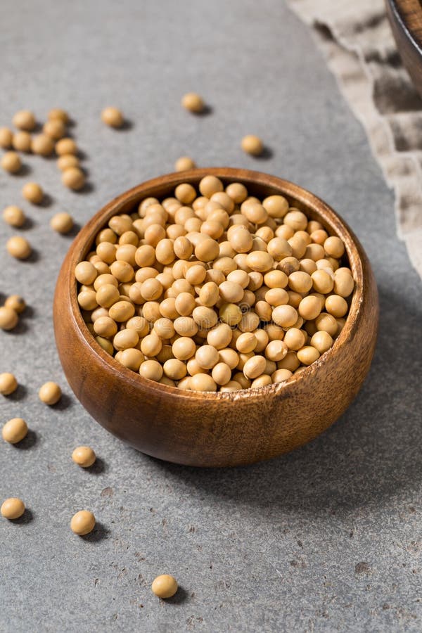 Dry Organic Raw Soy Beans stock photo. Image of seed - 364209038