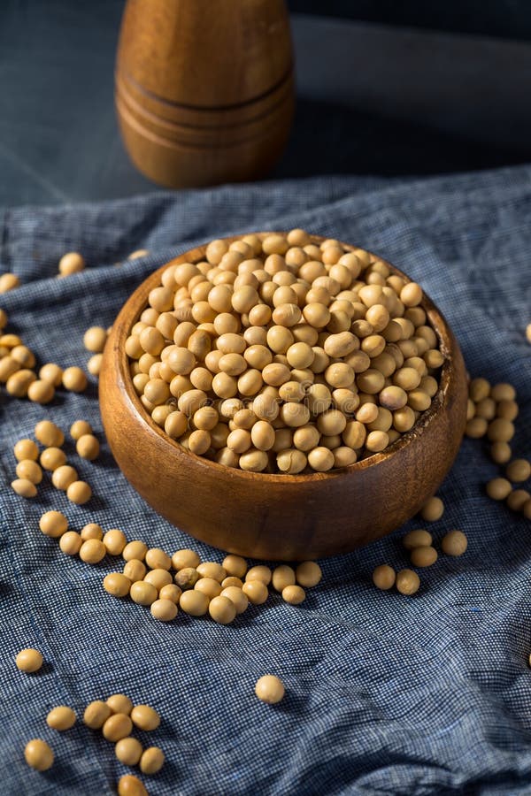 Dry Organic Soy Beans stock image. Image of vegetable - 238885245
