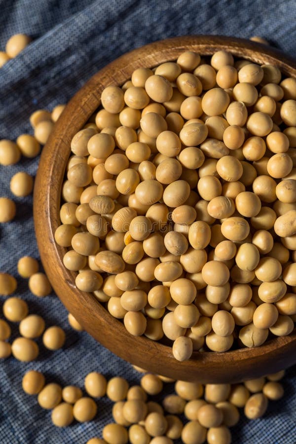 Dry Organic Soy Beans stock photo. Image of japanese - 238885262
