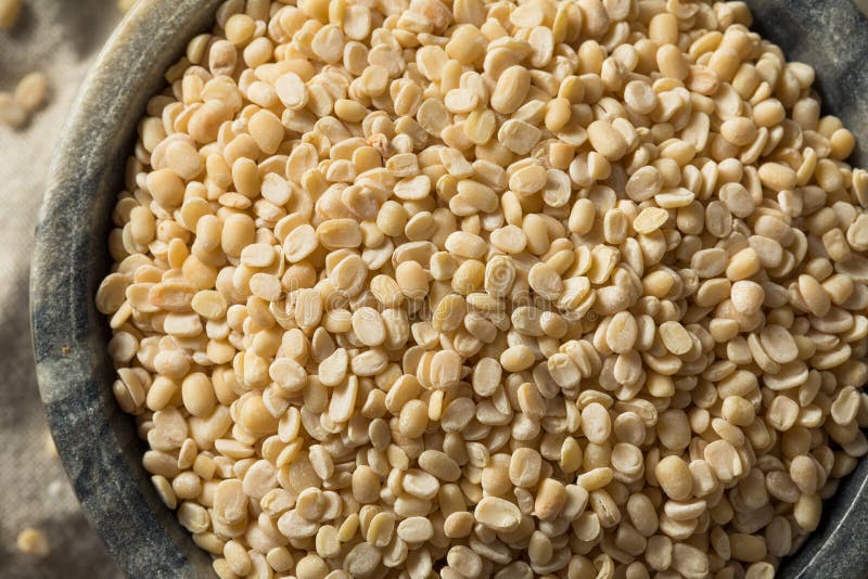 Dry Organic Urad Dal stock photo. Image of legume, bean - 154717964