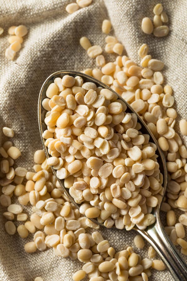 Dry Organic Urad Dal stock image. Image of lentils, round - 154718091