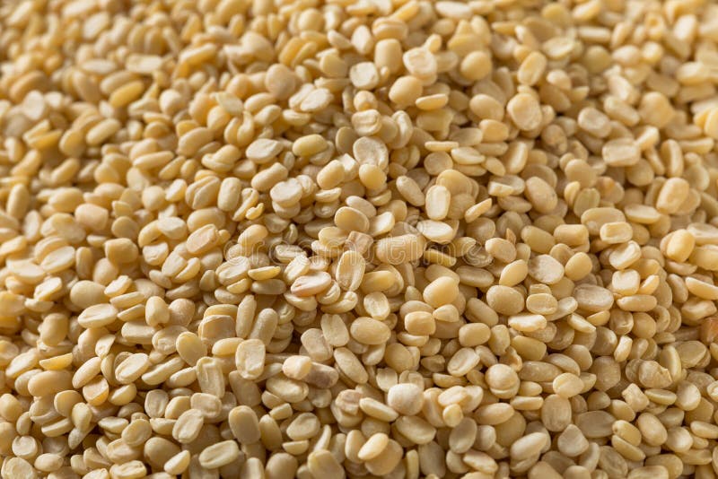 Dry Organic Urad Dal stock image. Image of healthy, diet - 154718303