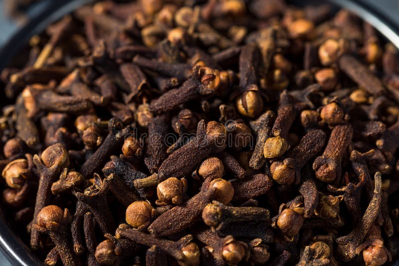 Dry Organic Whole Cloves stock image. Image of nature - 236814413