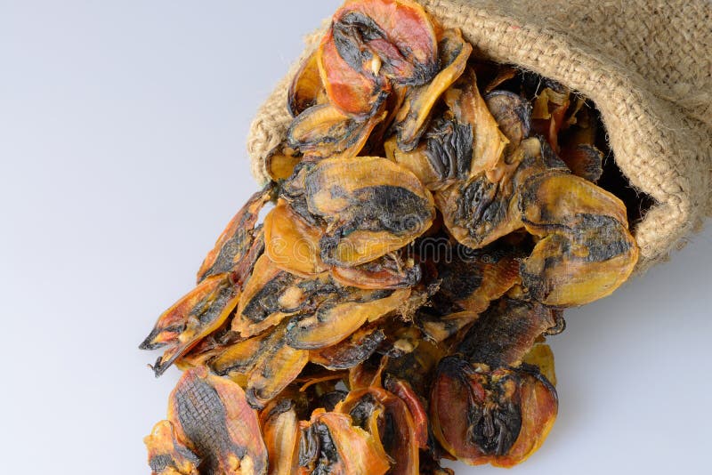 Dry out mussels stock image. Image of nature, cuisine - 55416013