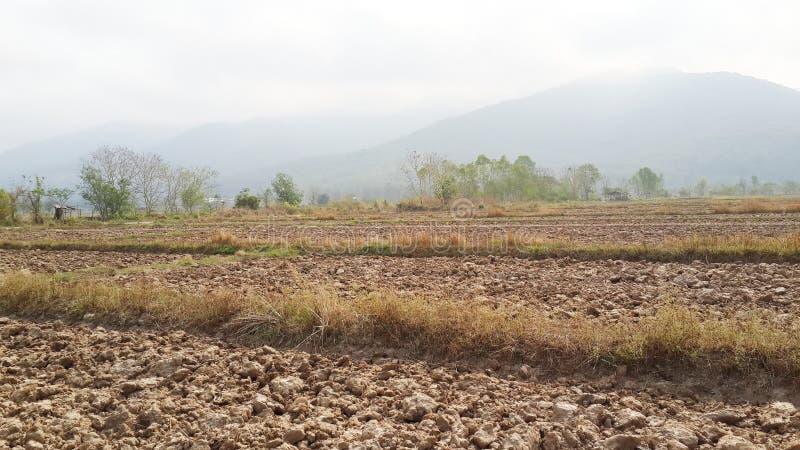 Dryland Rice Farming and Beautiful View Stock Photo - Image of view ...