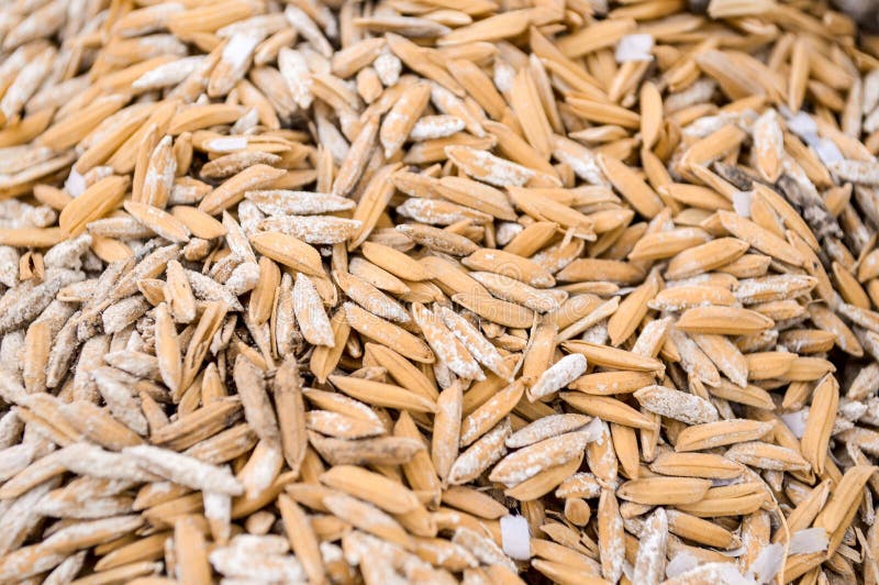 Dry paddy texture stock photo. Image of seed, agriculture - 204648416