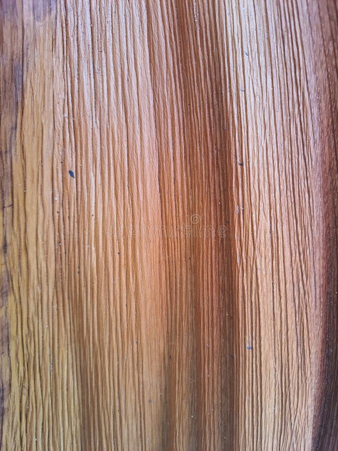 Dry Palm Bark, Full Screen, Front View. Backgrounds and Textures ...