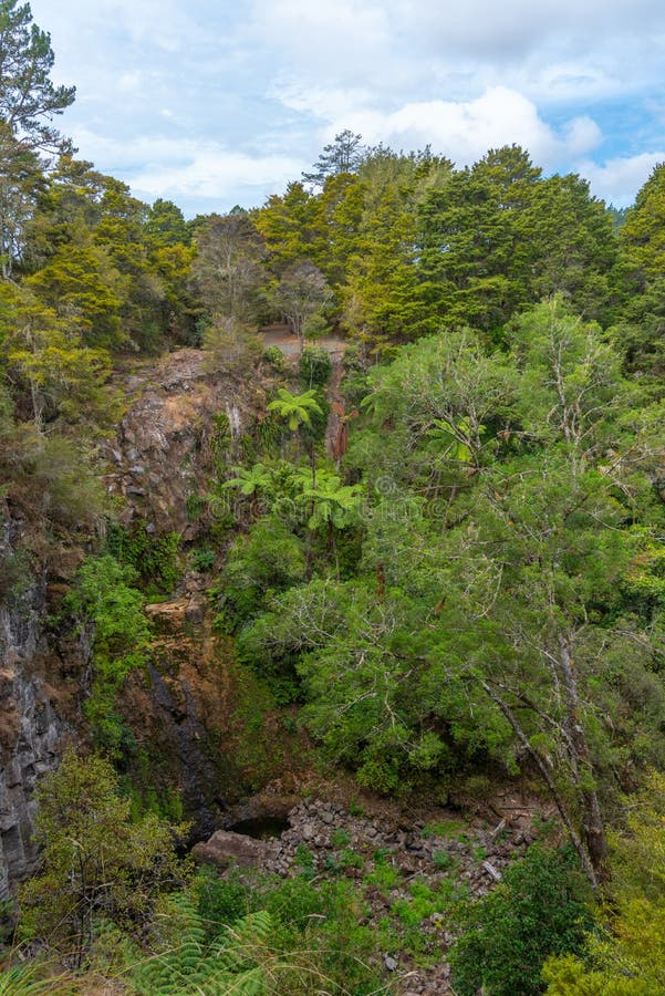 Dry Paranui Stock Photos - Free & Royalty-Free Stock Photos from Dreamstime