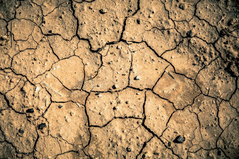 Dry cracked ground texture stock image. Image of arid - 117076739
