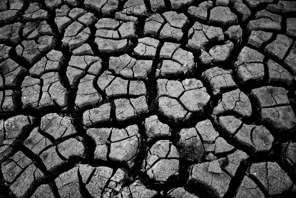 Dry, Parched Land stock photo. Image of cracked, white - 4050012