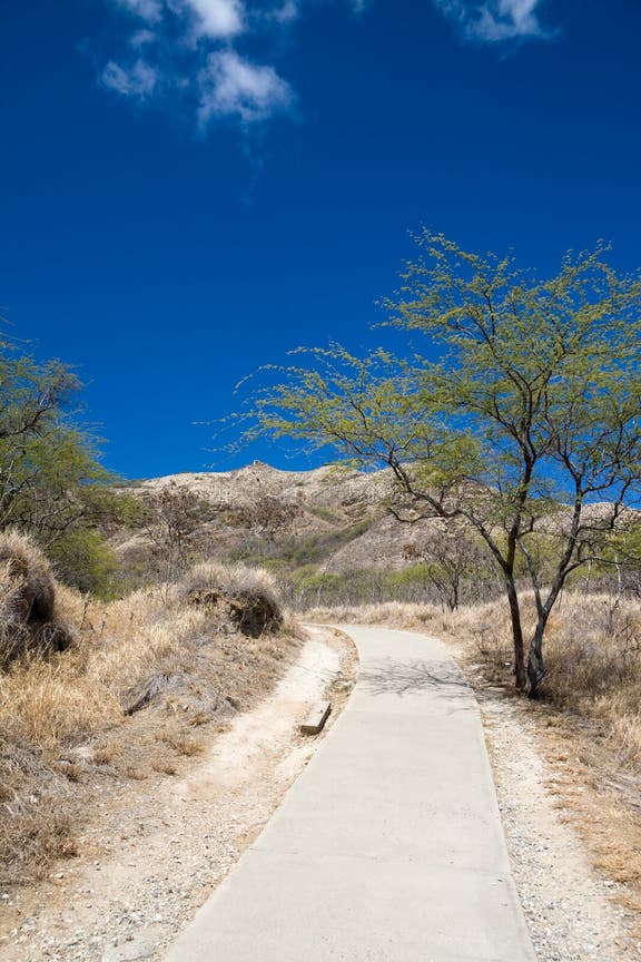 Dry path stock image. Image of oahu, hawaii, honolulu - 2783687