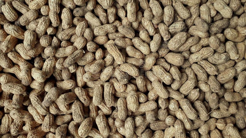 Dry Peanut Object Background, Peanut with His Skin Stock Image - Image ...