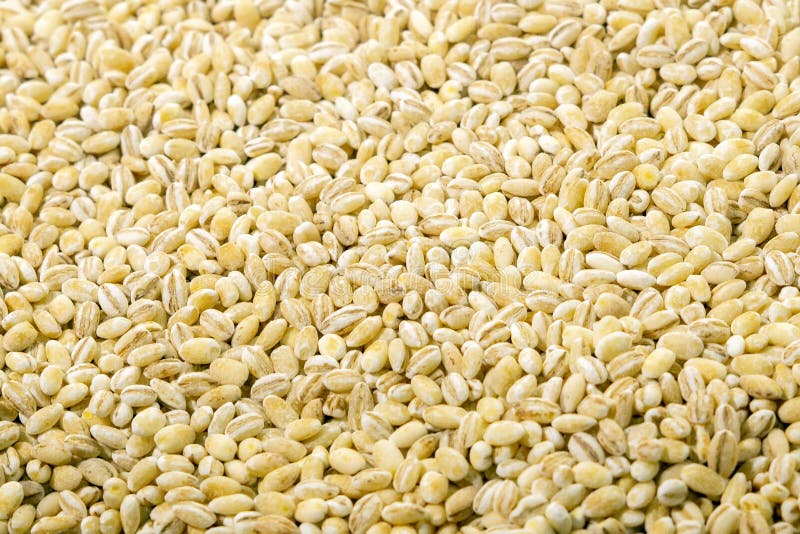 Dry Pearl Barley Texture Background Stock Image - Image of pattern ...