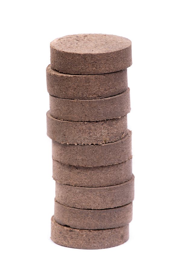 Compressed Compost Tablet Isolated Stock Image - Image of grow ...