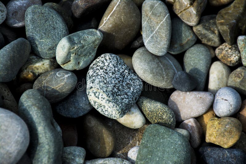 Dry pebbles stock photo. Image of beach, gravel, coast - 127685470