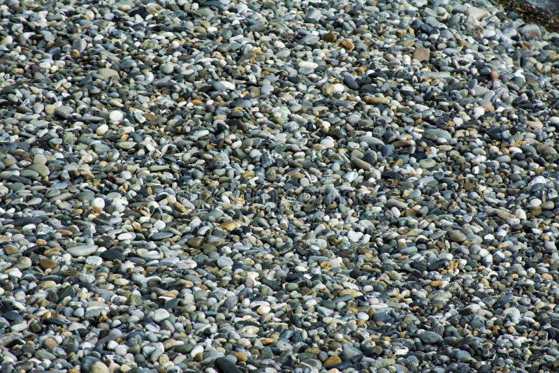 Dry pebbles beach stock photo. Image of rocky, simplicity - 127684074