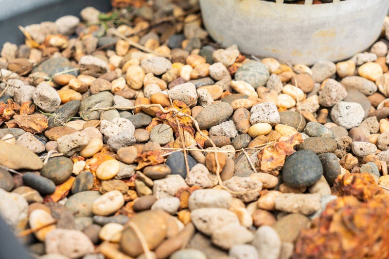 Dry Pebbles at the Bottom of the Basin Stock Image - Image of closeup ...